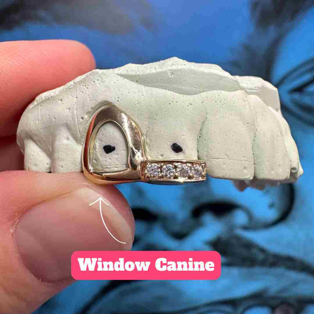 Canine & Iced Front Bar Grillz - Grillz Australia · Mouth House